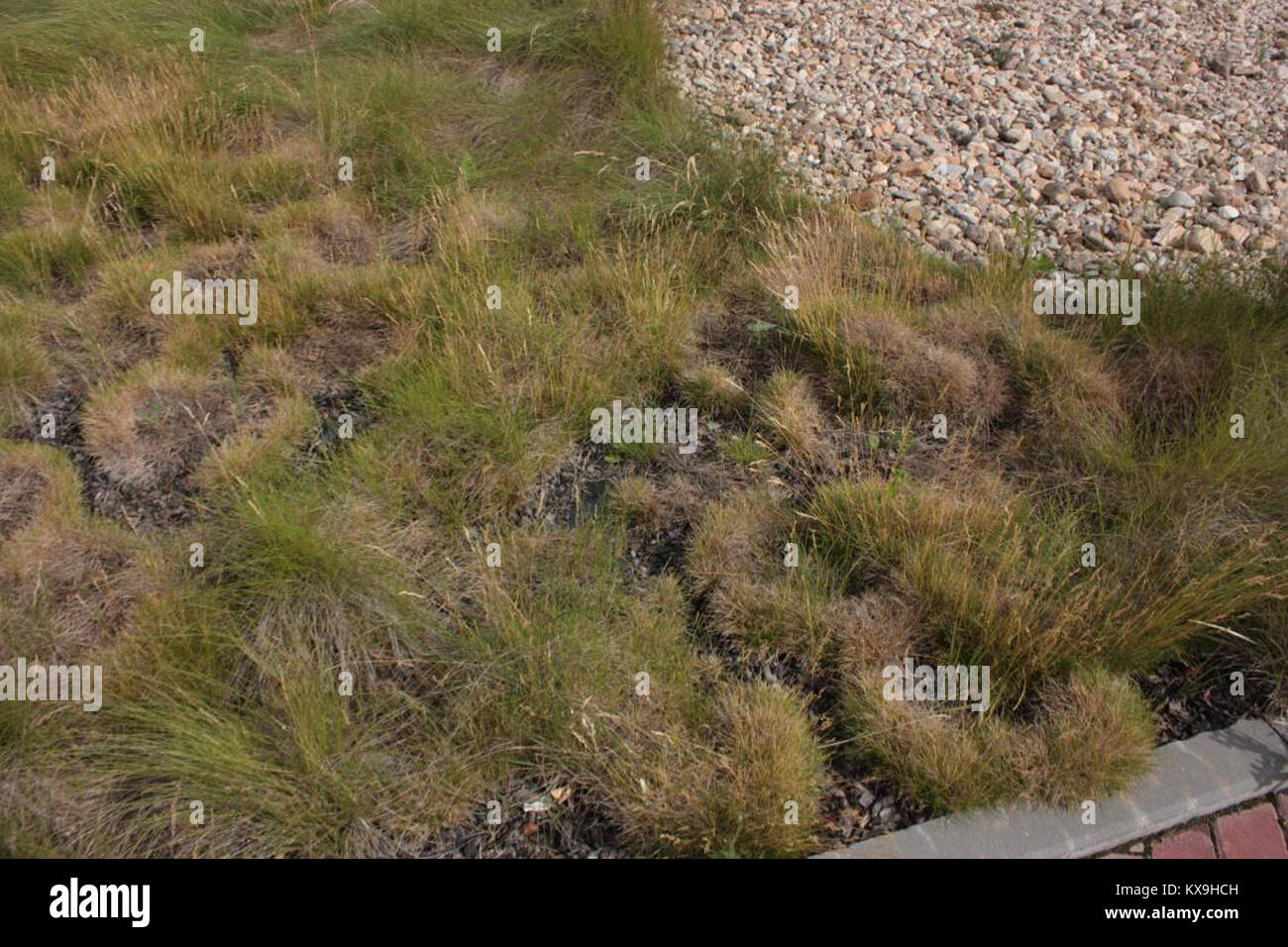 This entry appears to be a technical reference without specific details, requiring further ...