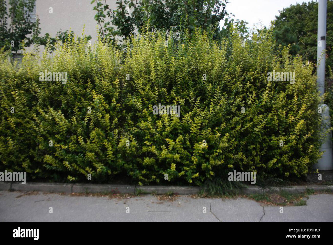 This Line Represents A Web Development Or Coding Reference Likely Pointing To An Html Element