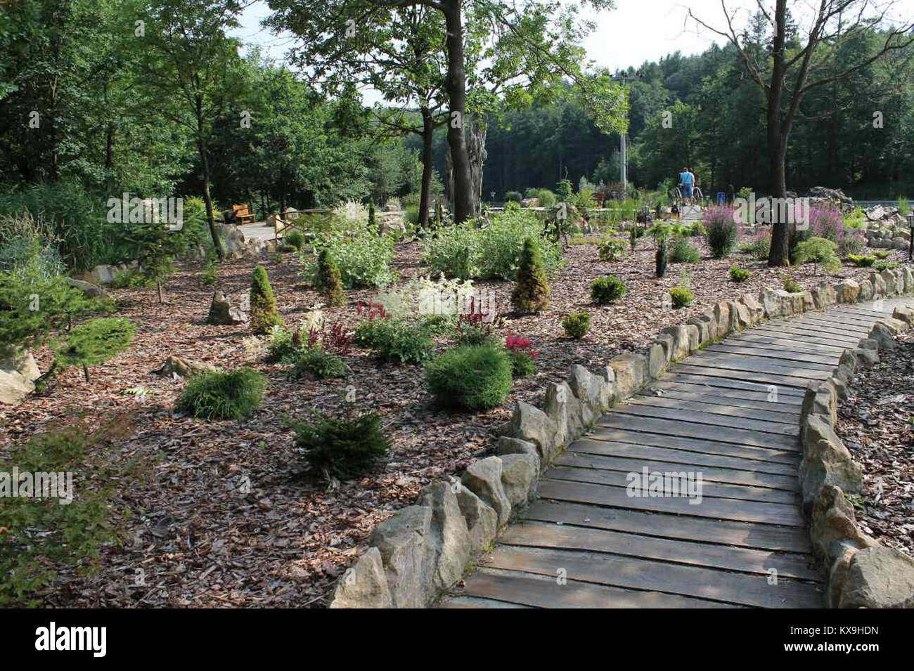 This title appears to represent a coding or webpage reference in HTML ...