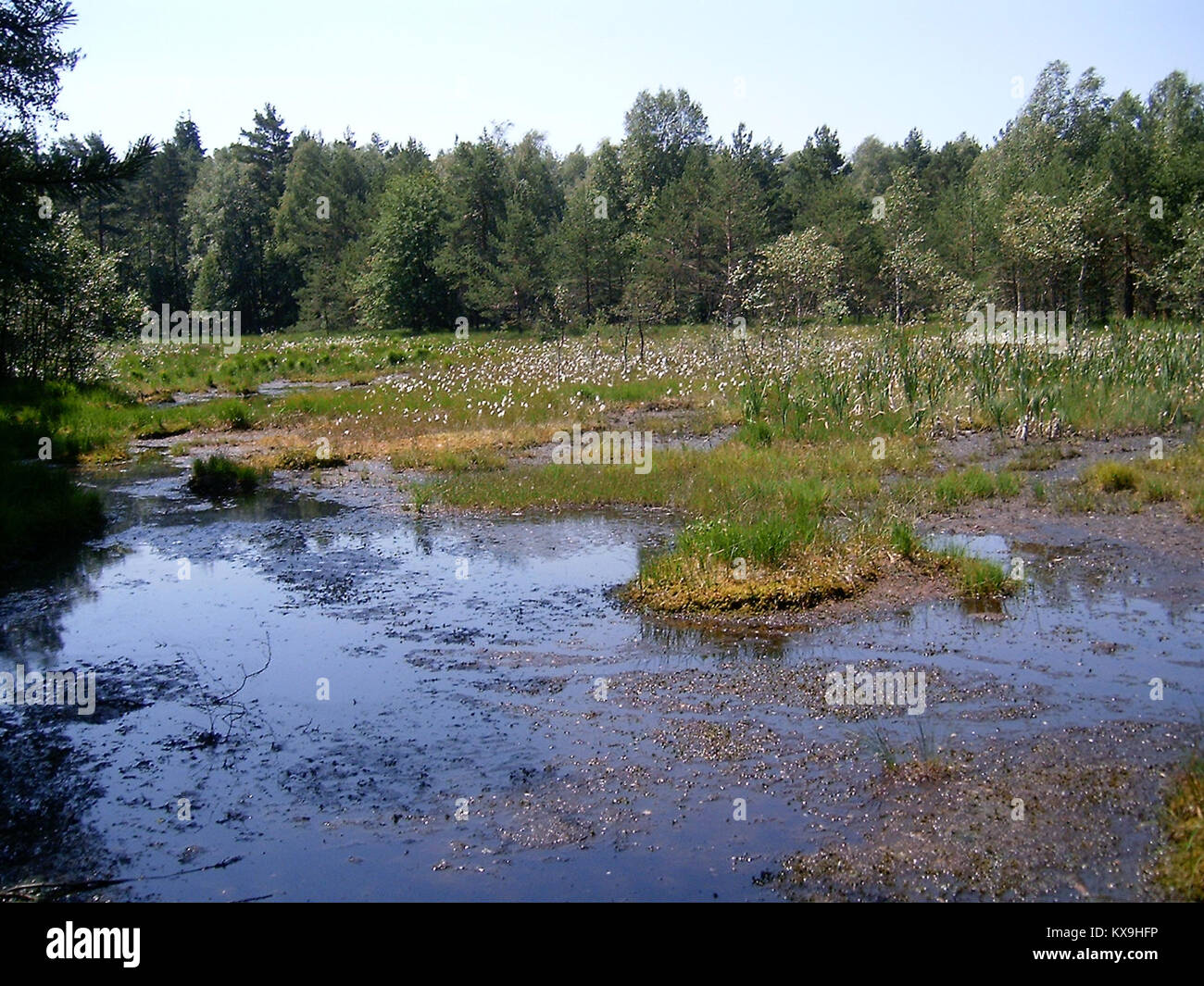 A digital reference or catalog entry identified as '6.díl html m6ff3bdf585384', representing ...