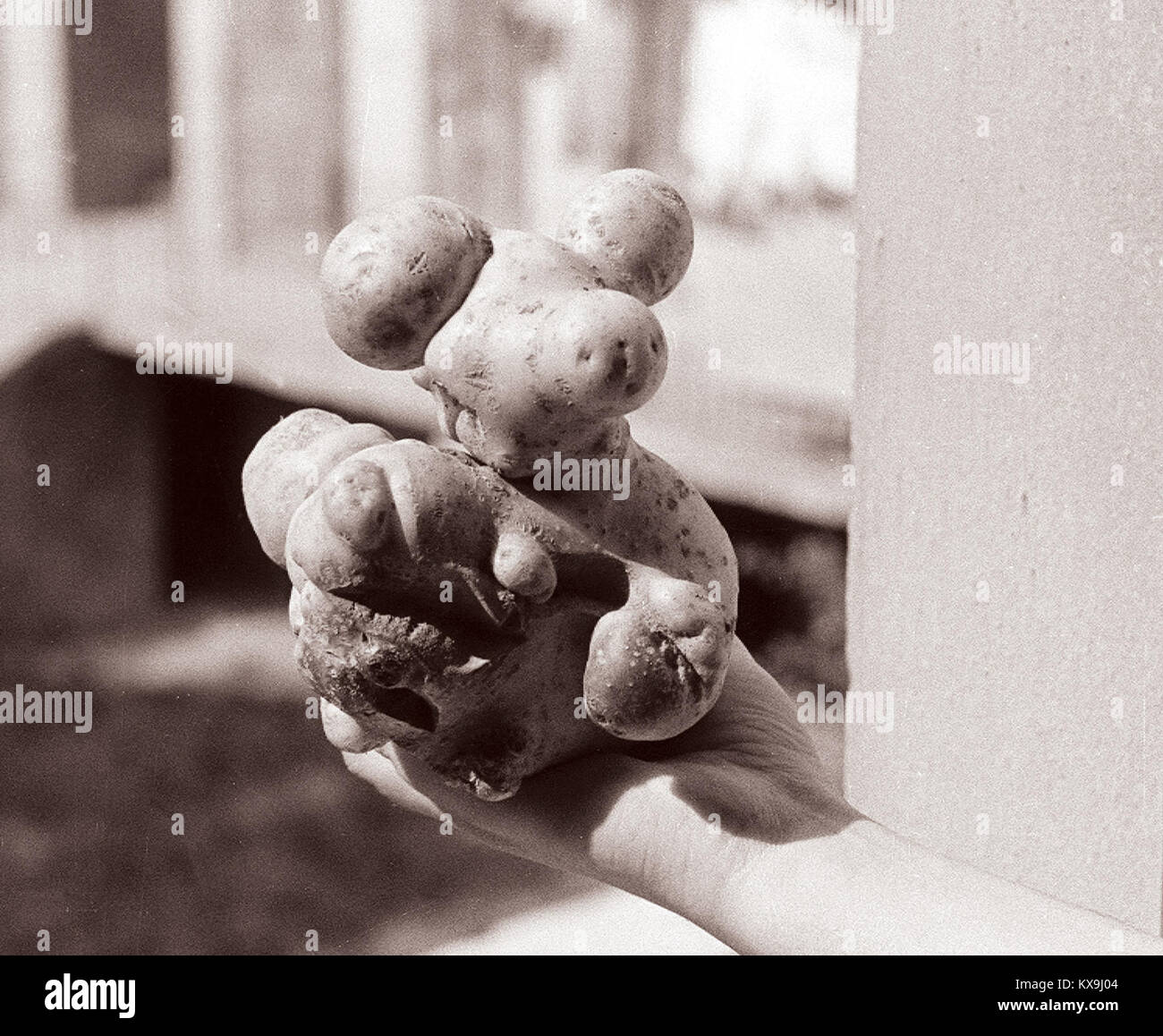 1960s farming hi-res stock photography and images - Alamy