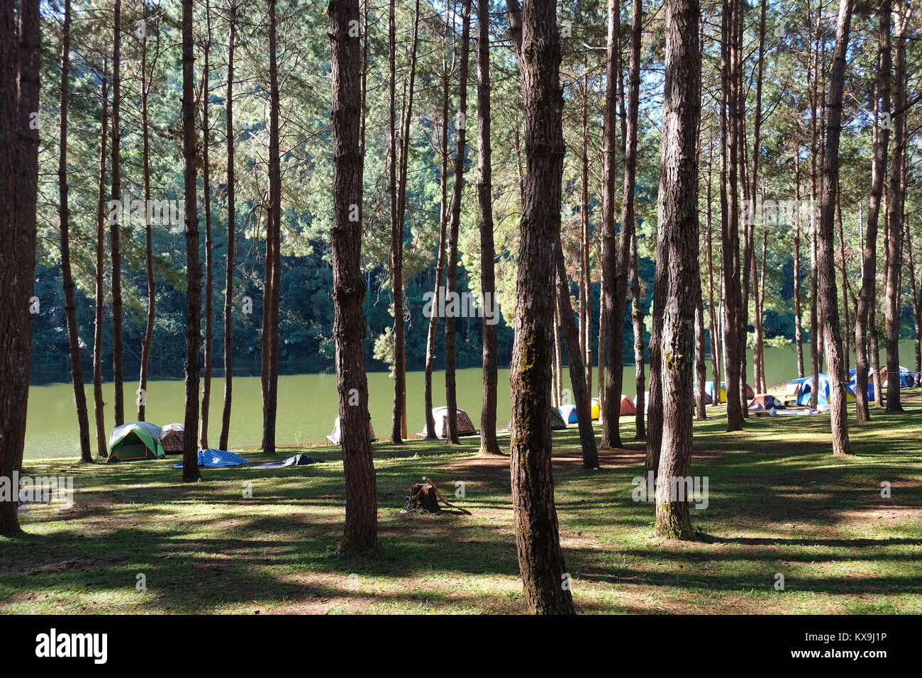 Pang Tong Under Royal Forest Park ( Pang ung ) at Mae Hong Son Province ...