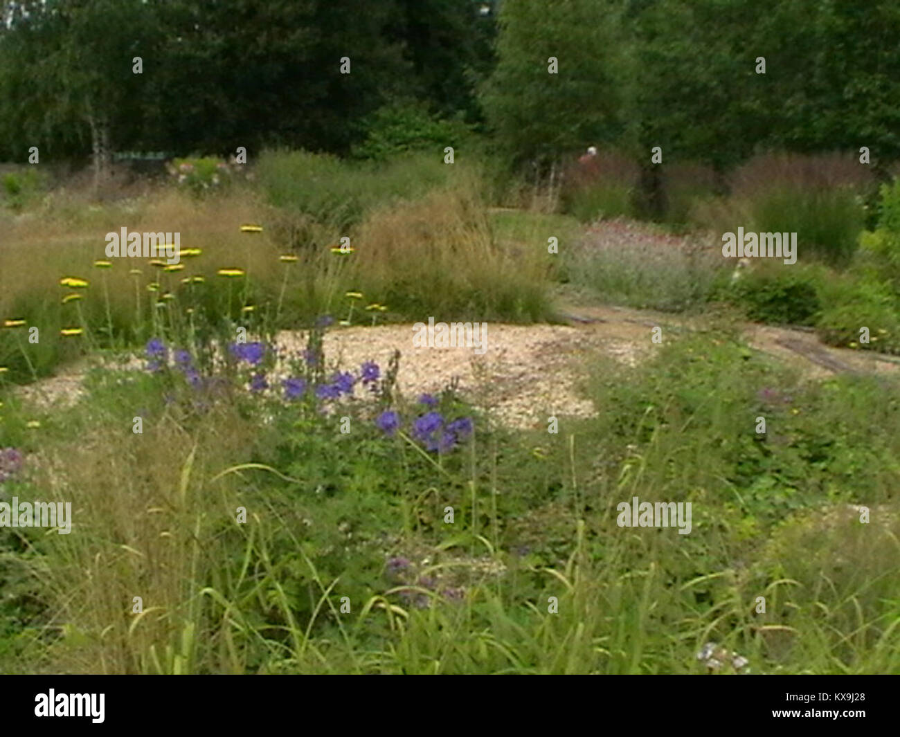 A technical document detailing aspects of a 7th-level HTML code ...