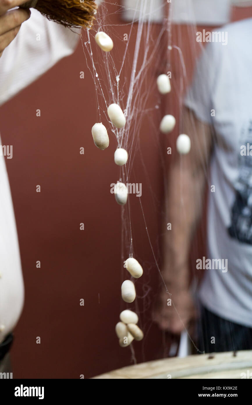 Boiling cocoon in a pot to prepare a cocoon silk Stock Photo - Alamy