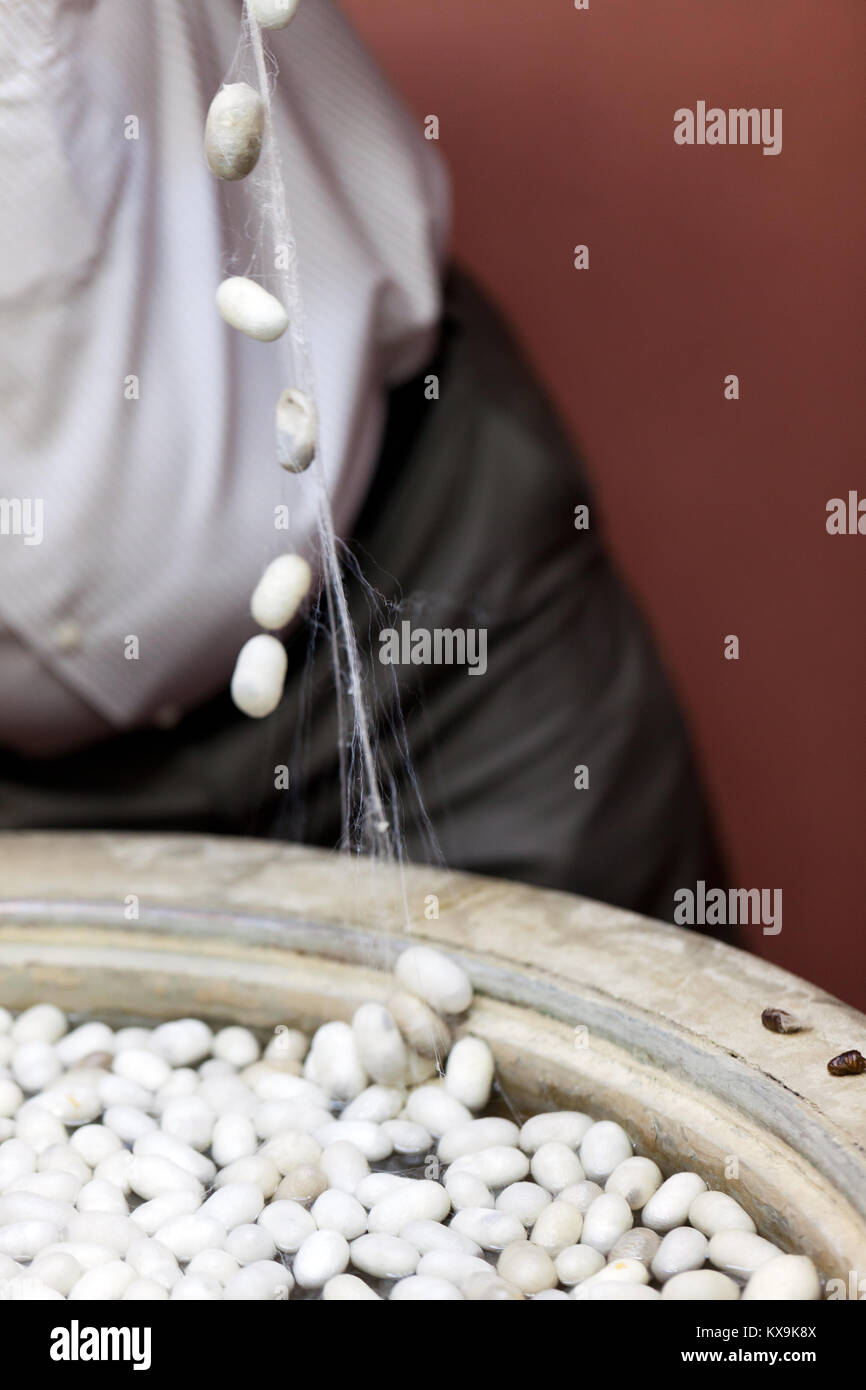 Boiling cocoon in a pot to prepare a cocoon silk Stock Photo - Alamy