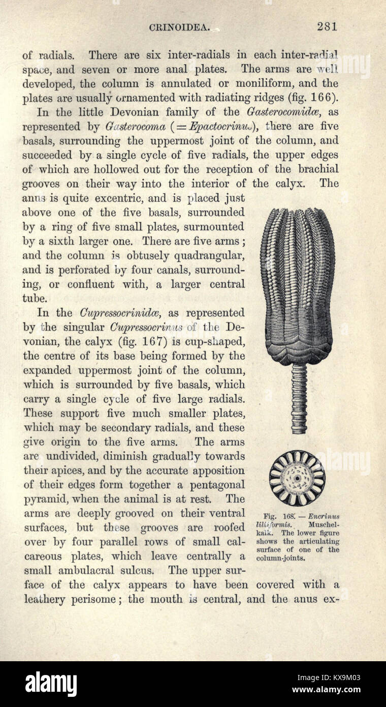 This page from a manual of paleontology outlines key scientific ...