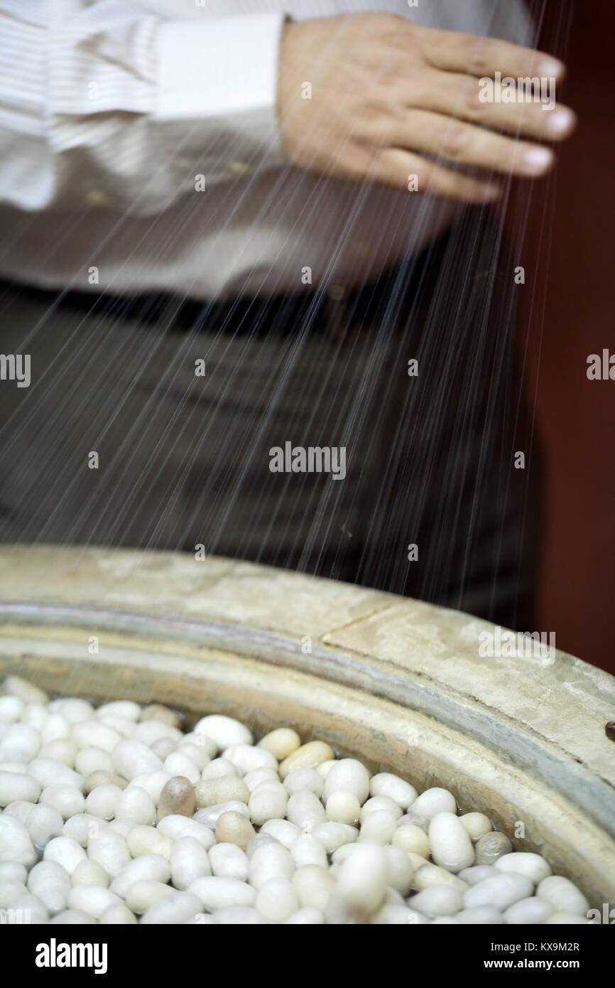 Boiling cocoon in a pot to prepare a cocoon silk Stock Photo - Alamy