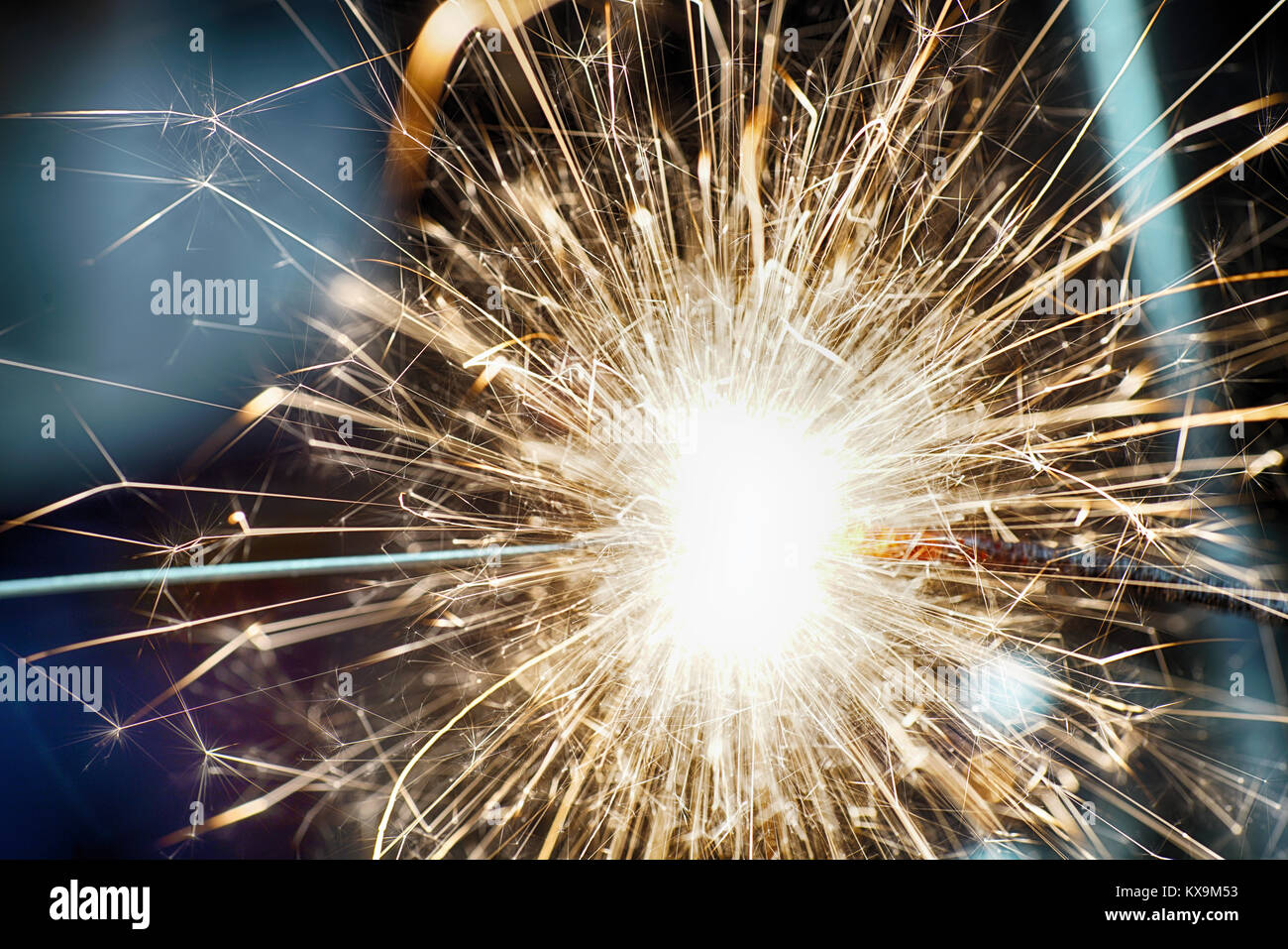Burning star pitcher photographed in the studio Stock Photo - Alamy
