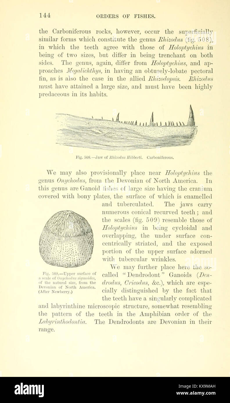 Henry Alleyne Nicholson's 'A Manual of Palæontology' is a comprehensive ...