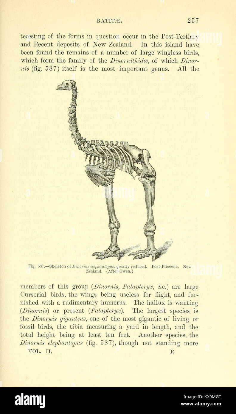 A paleontology student manual presenting fundamental knowledge of ...
