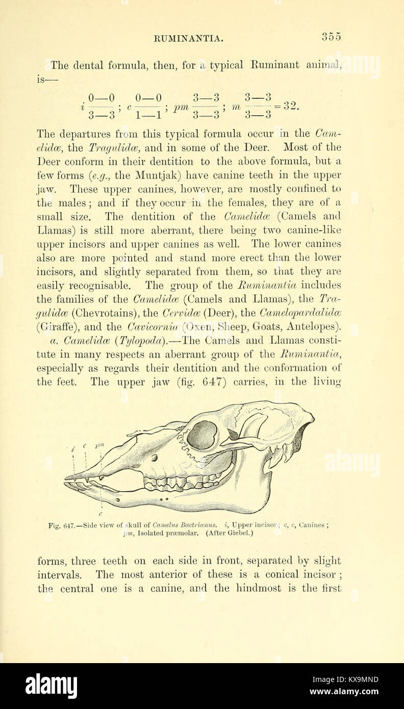 A textbook on paleontology designed for students, providing a detailed ...