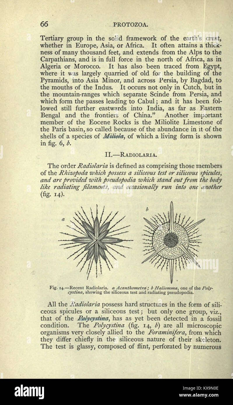 This manual provides an introduction to paleontology for students ...