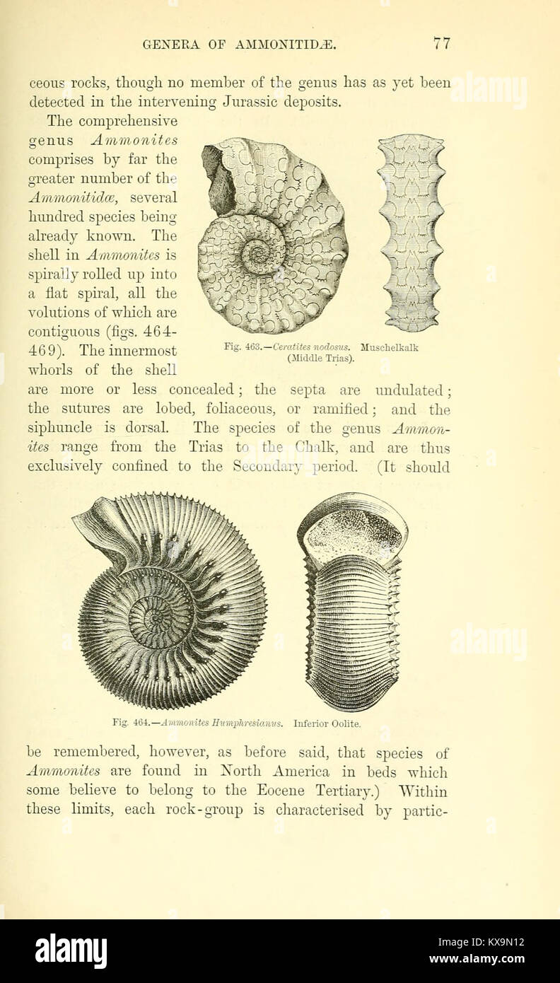 This page from 'A Manual of Paleontology' provides detailed information ...