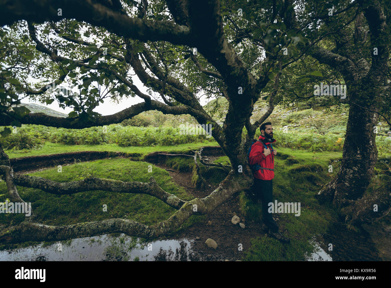 Man standing under tree hi-res stock photography and images - Alamy