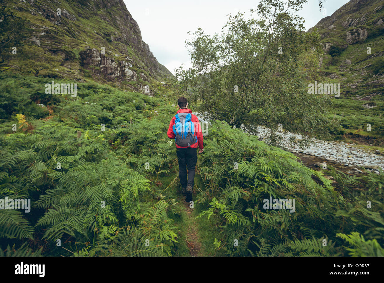 Man walking male hiker hi-res stock photography and images - Alamy