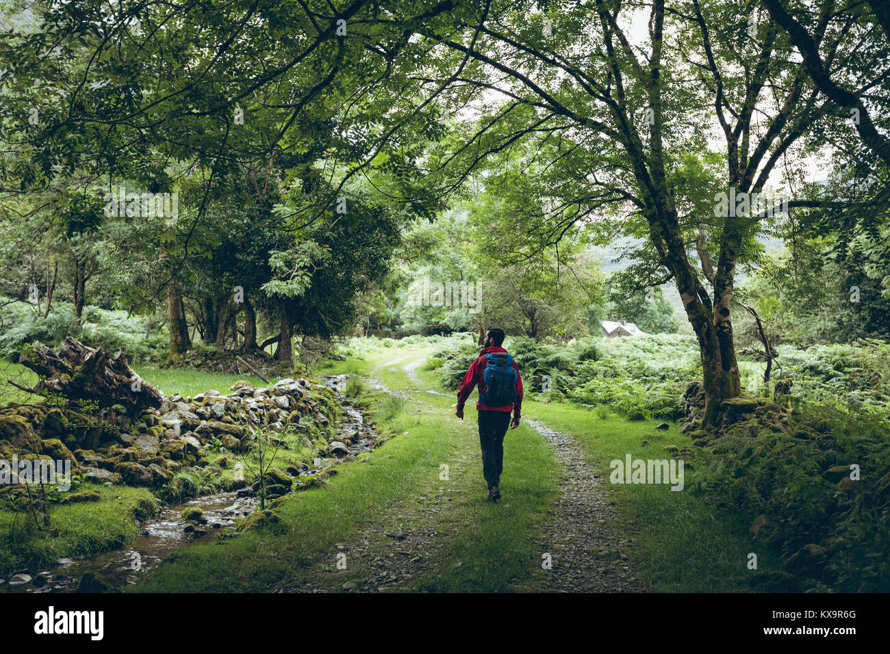 Male on walking path hi-res stock photography and images - Alamy