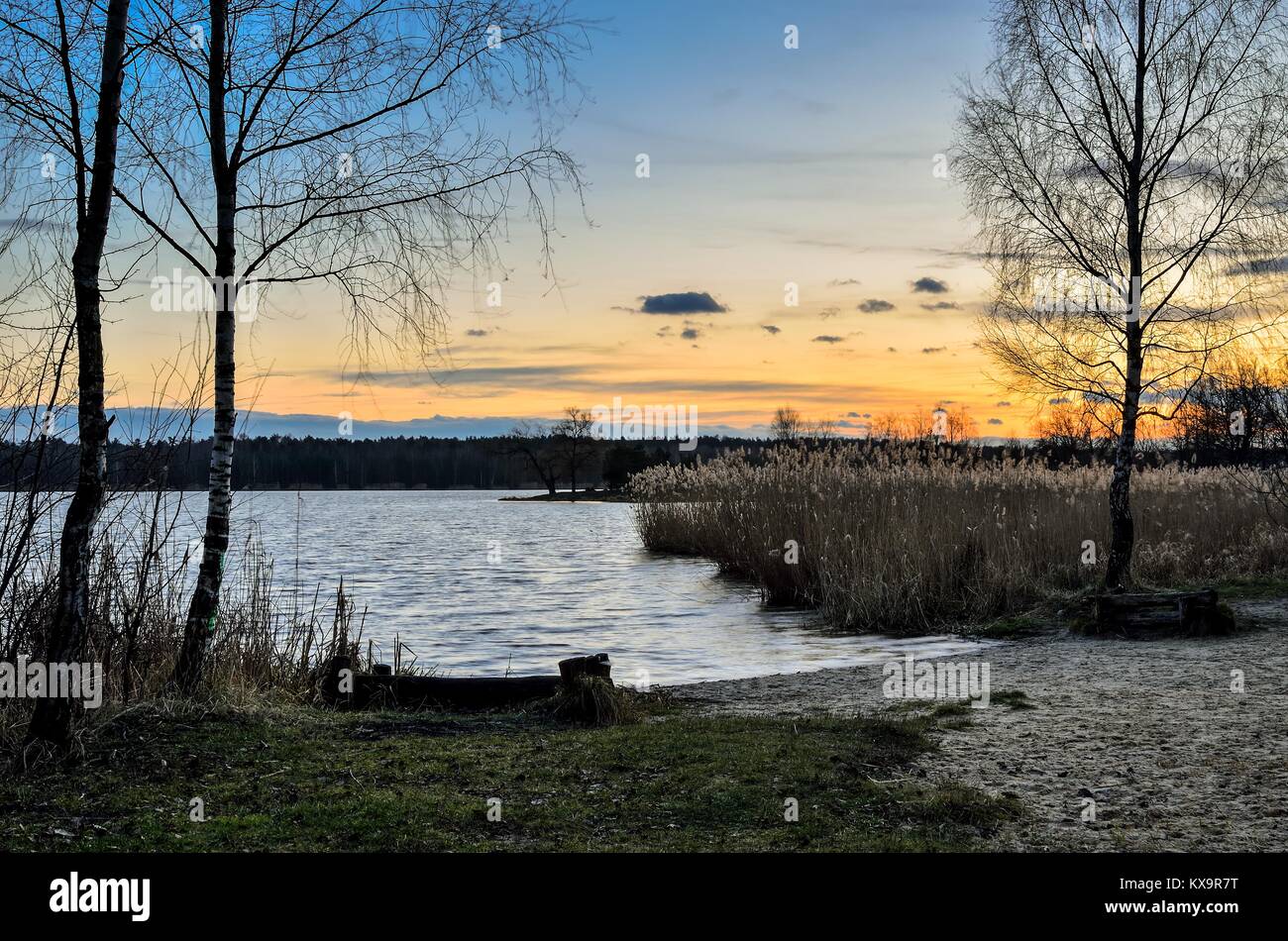 Beautiful morning landscape trees hi-res stock photography and images ...