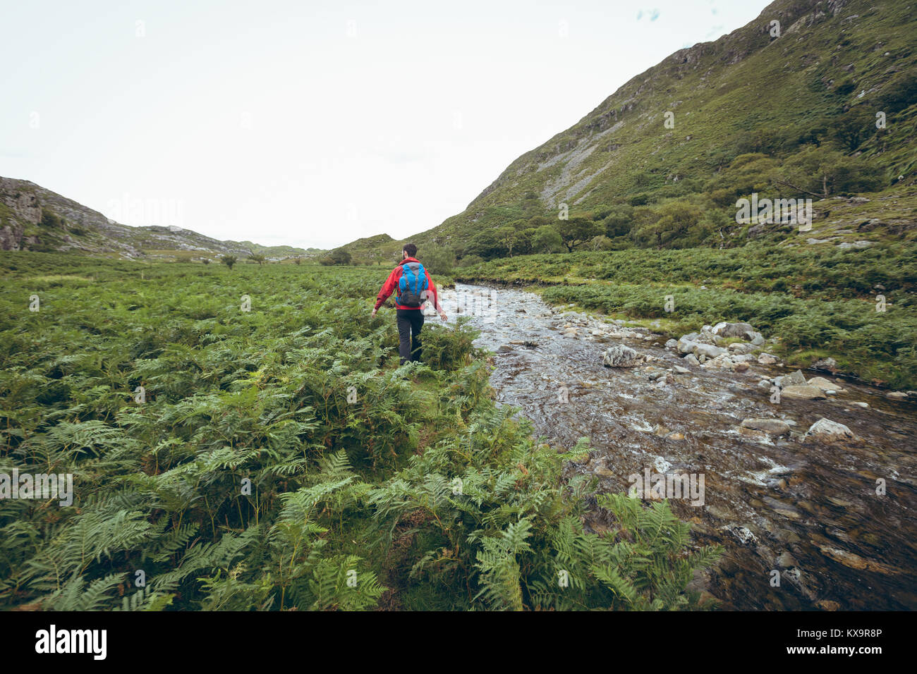 Hiker with backpack walking near the stream Stock Photo - Alamy