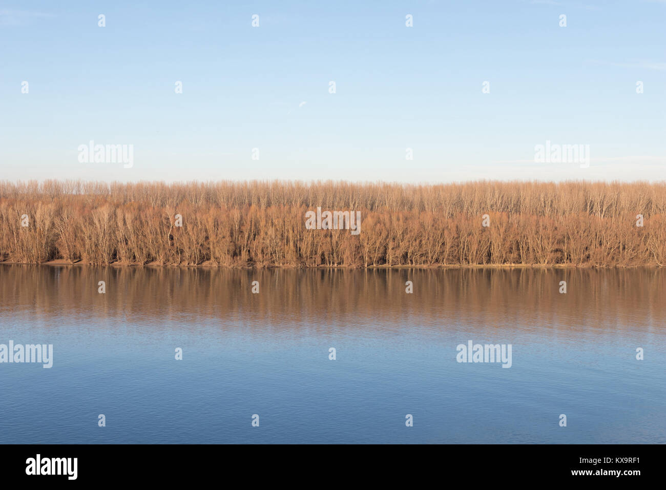 Beautiful Autumn trees reflecting in river Stock Photo - Alamy
