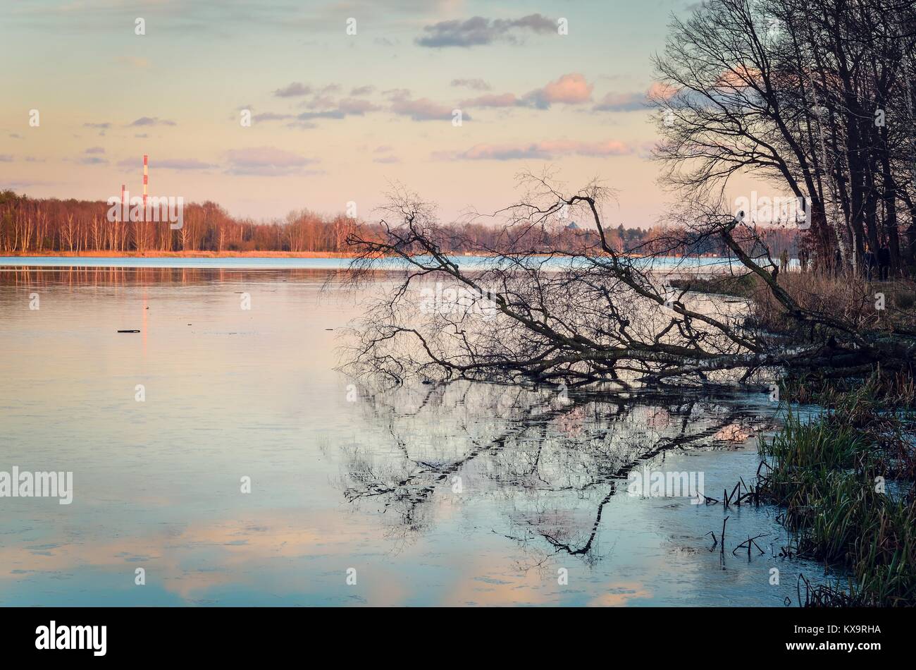 Fallen tree water hi-res stock photography and images - Alamy