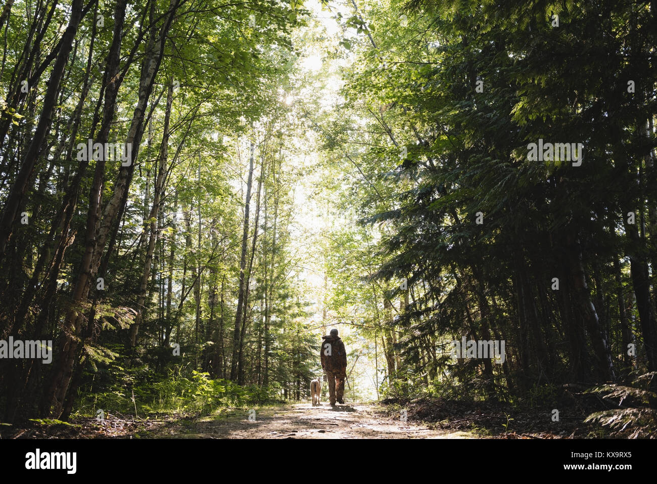 Hunter walking in forest path Stock Photo - Alamy