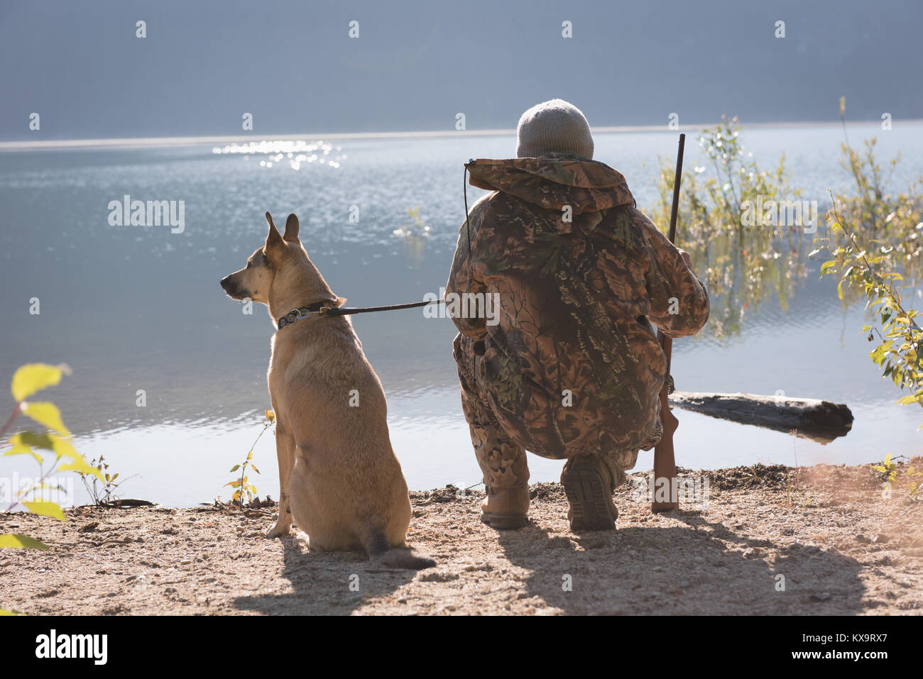 Hunter rifle dog hi-res stock photography and images - Alamy