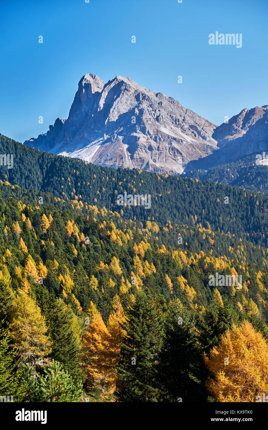 South Tyrol, Plose, Italy, Dolomite Alps Stock Photo - Alamy