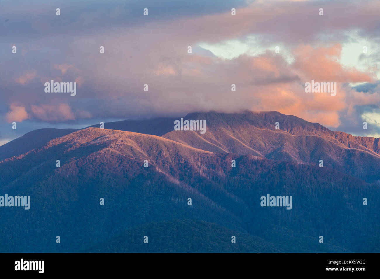 Orange sunset light hi-res stock photography and images - Alamy
