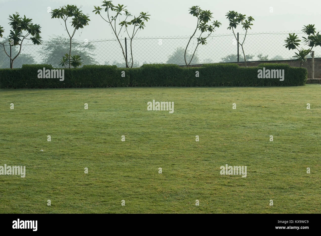 View of Green field in the park Stock Photo - Alamy
