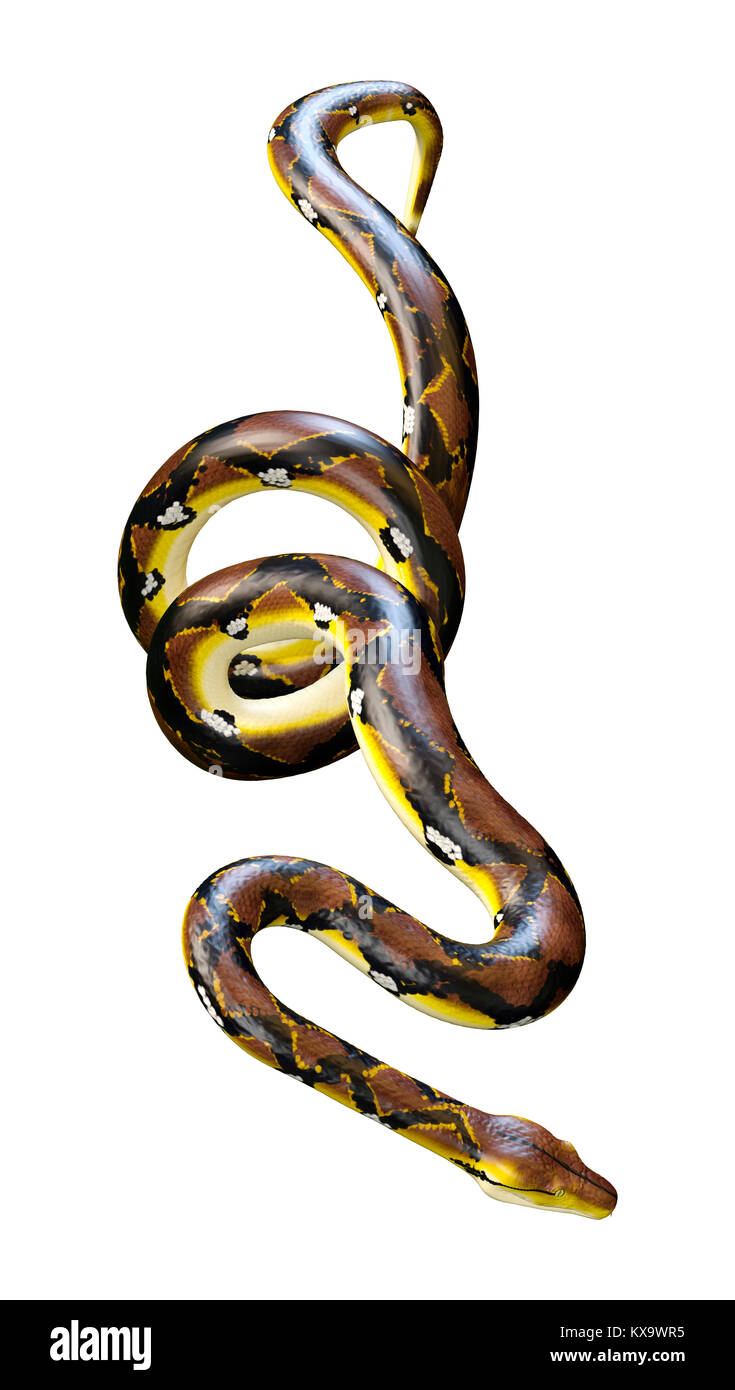 3D rendering of a Reticulated python or Python reticulatus, a species ...