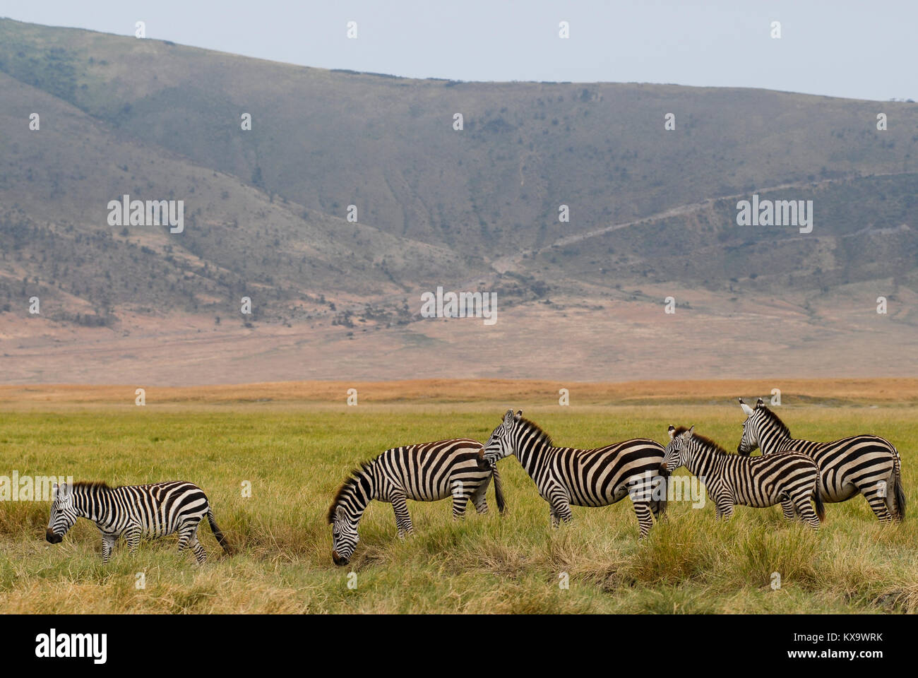 Grasslands nationalpark hi-res stock photography and images - Alamy