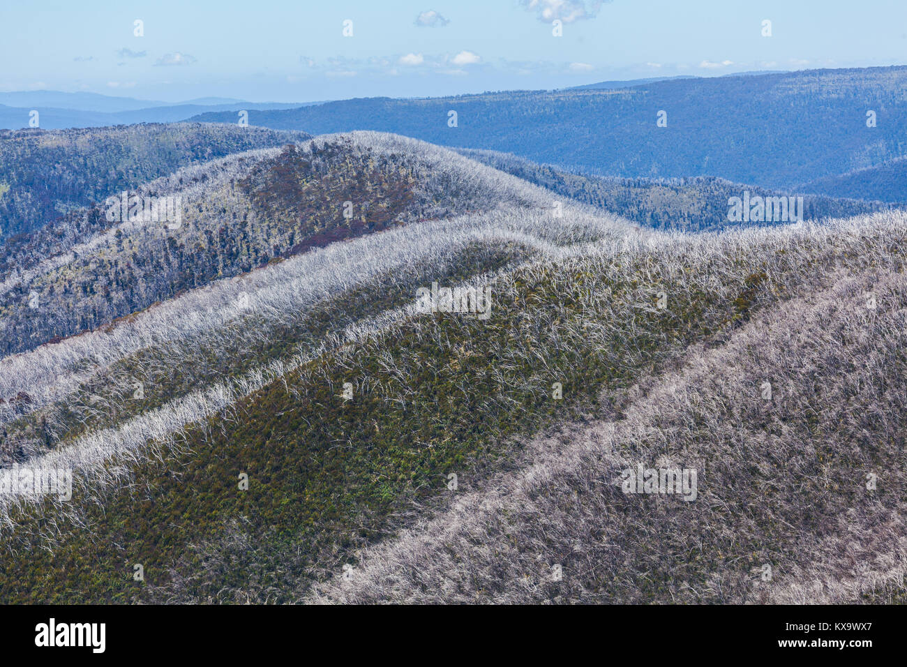 Australian dry country hi-res stock photography and images - Alamy