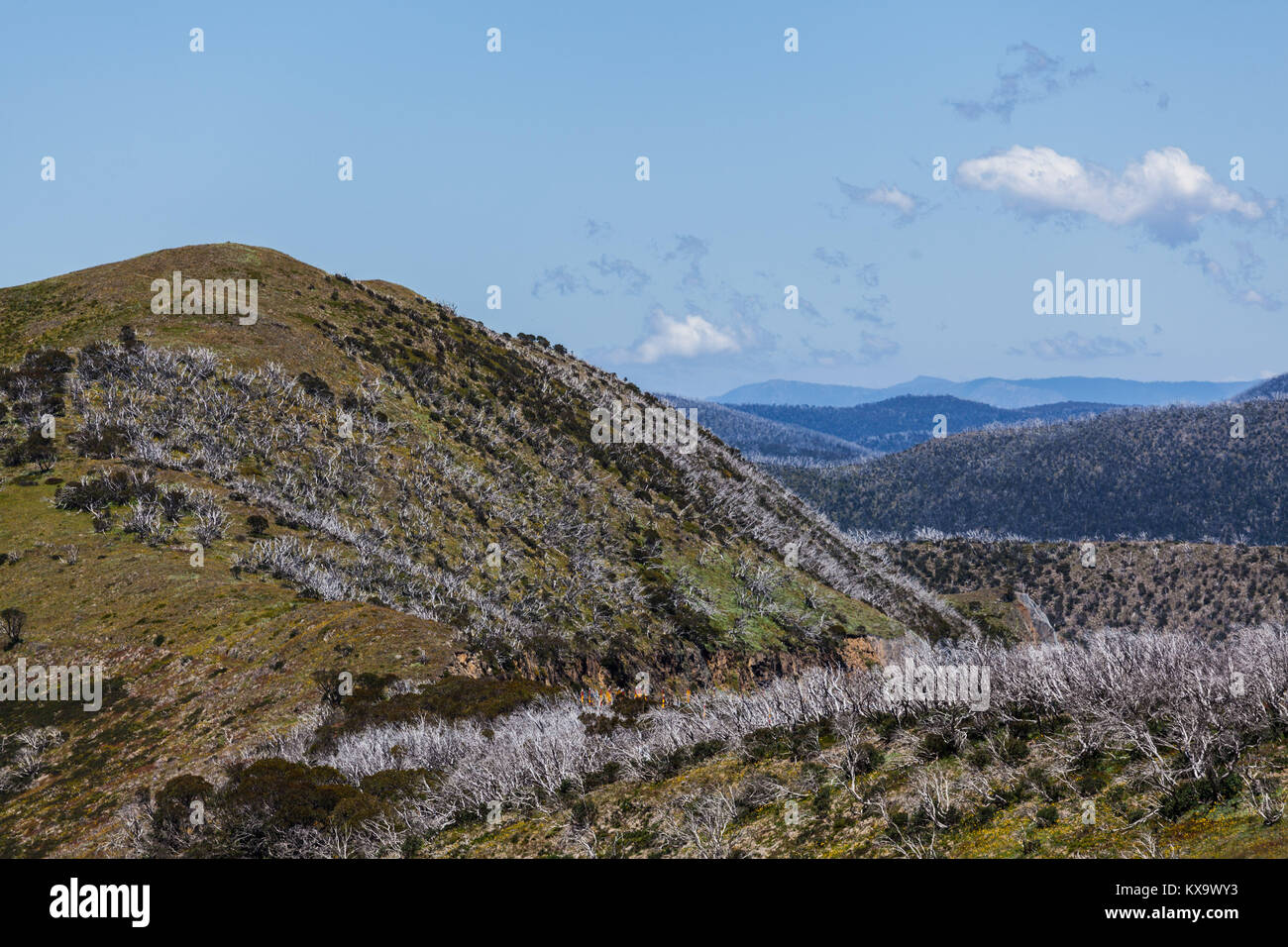 Beautiful Australian Alps Landscape, Victoria, Australia Stock Photo ...