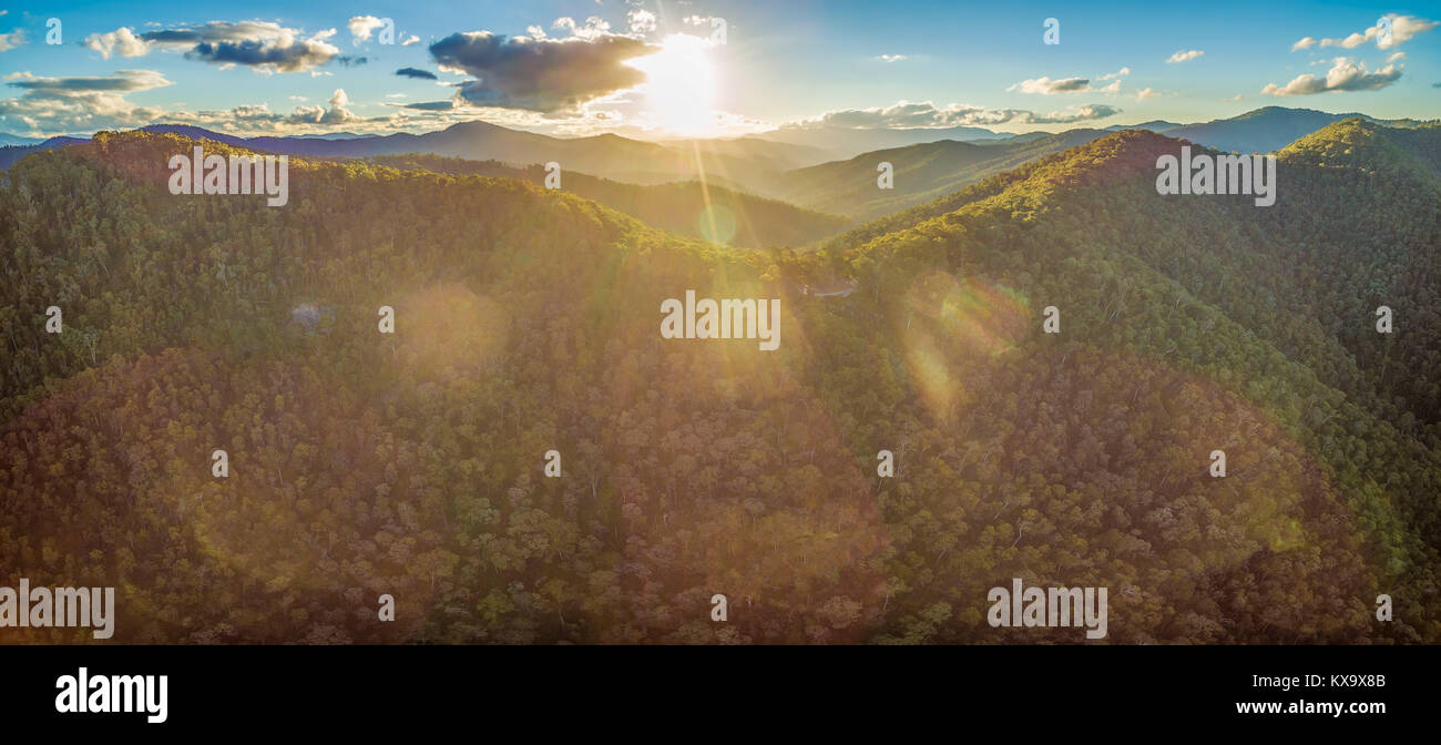 Aerial panorama of native Australian forest and mountains at sunset ...