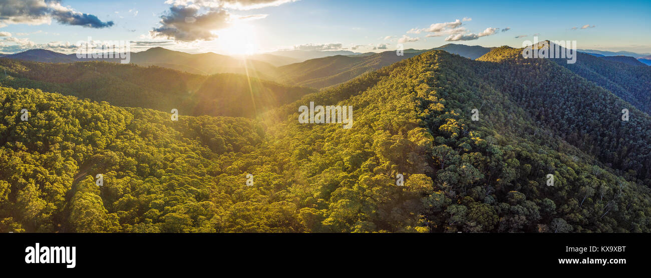 Aerial panorama of beautiful Australian Alps at sunset. Forested hills ...