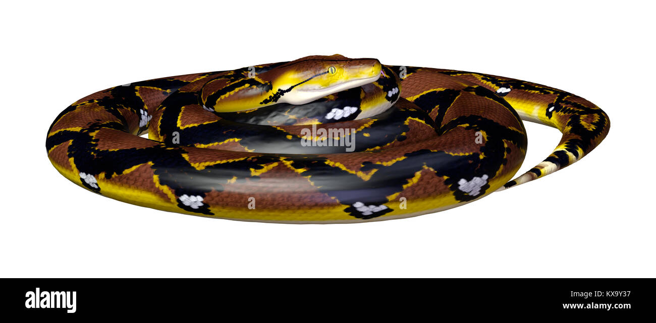 3D rendering of a Reticulated python or Python reticulatus, a species ...