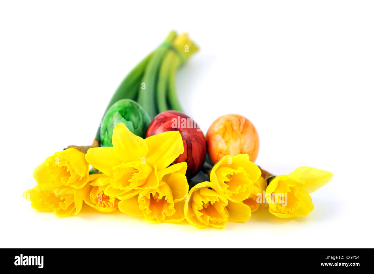 bunch fresh daffodil with easter eggs on white isolated background ...