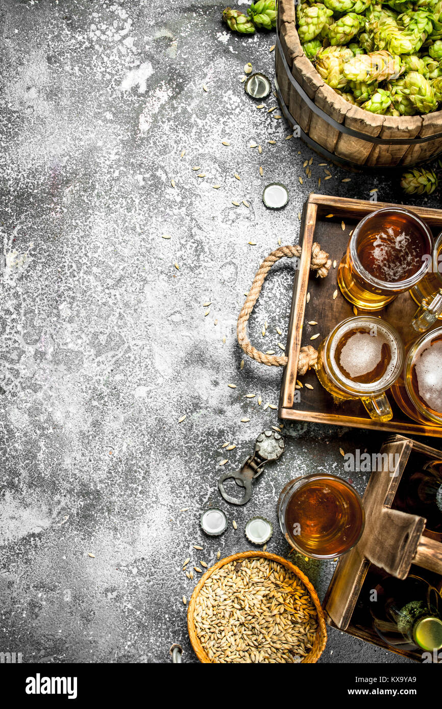 Beer background. Fresh beer with ingredients. On a rustic background ...
