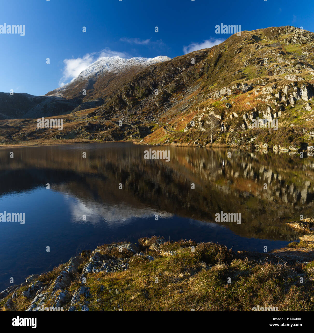 Moel ddu hi-res stock photography and images - Alamy