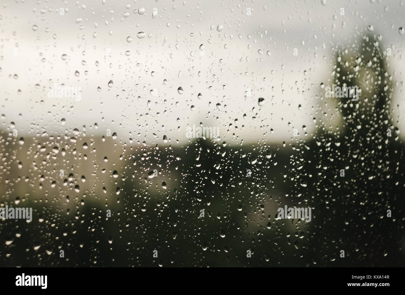 Raindrops on window with blurry trees as background. Rainy season Stock ...