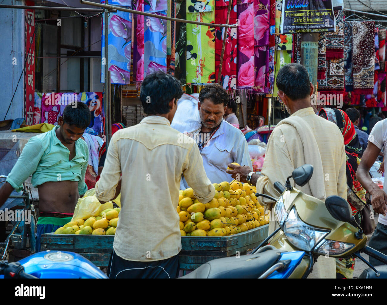 Varanasi, India - Jul 12, 2015. Vendor selling mangoes at street market ...