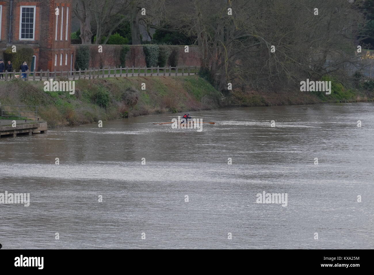 skiffer rowers river thames Stock Photo - Alamy skiffer rowers river thames Stock Photo - Alamy