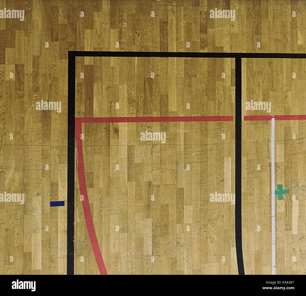 White, black red lines, green playfield in sporting hall. Renewal ...