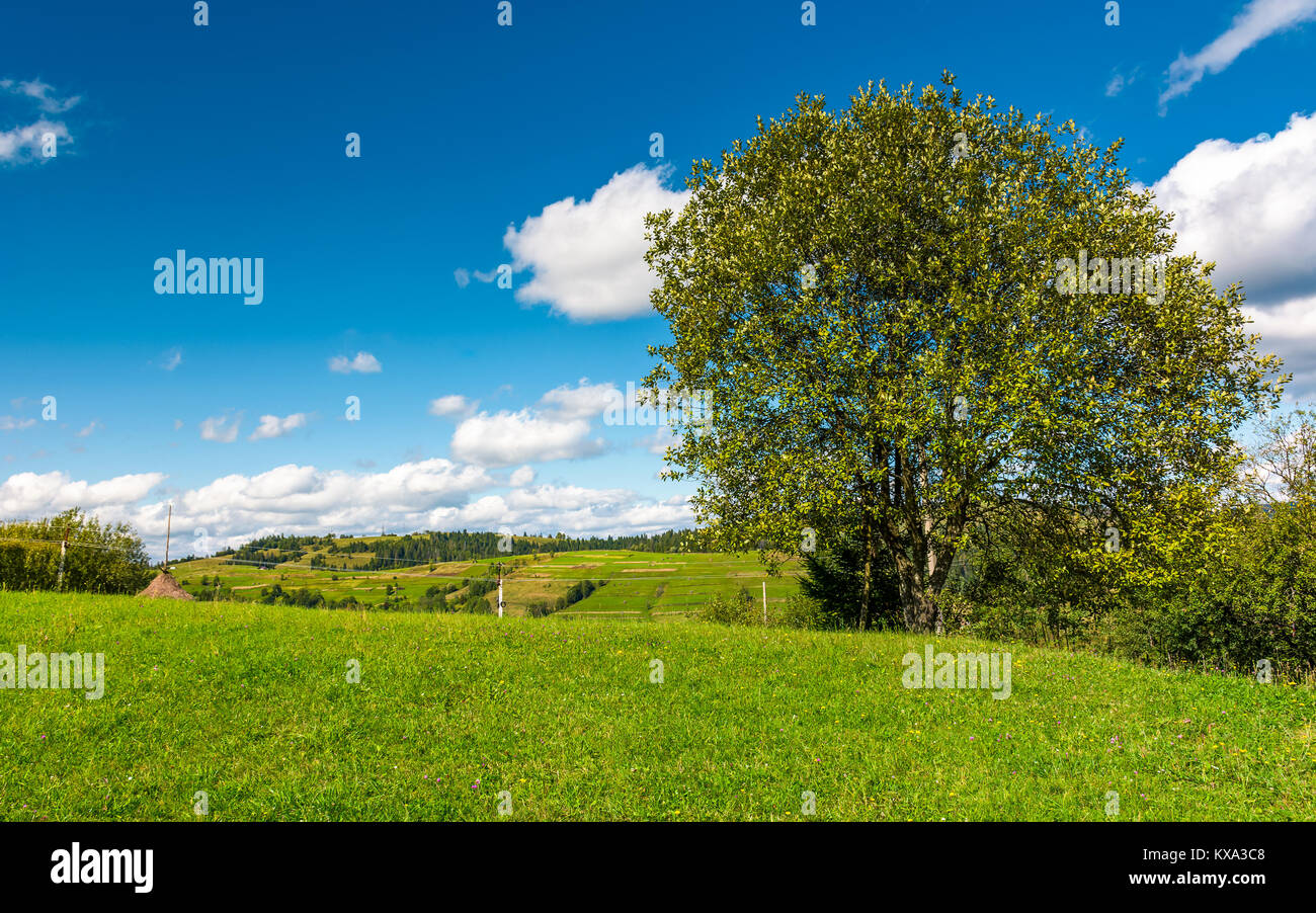 Beautiful hill scenery hi-res stock photography and images - Alamy