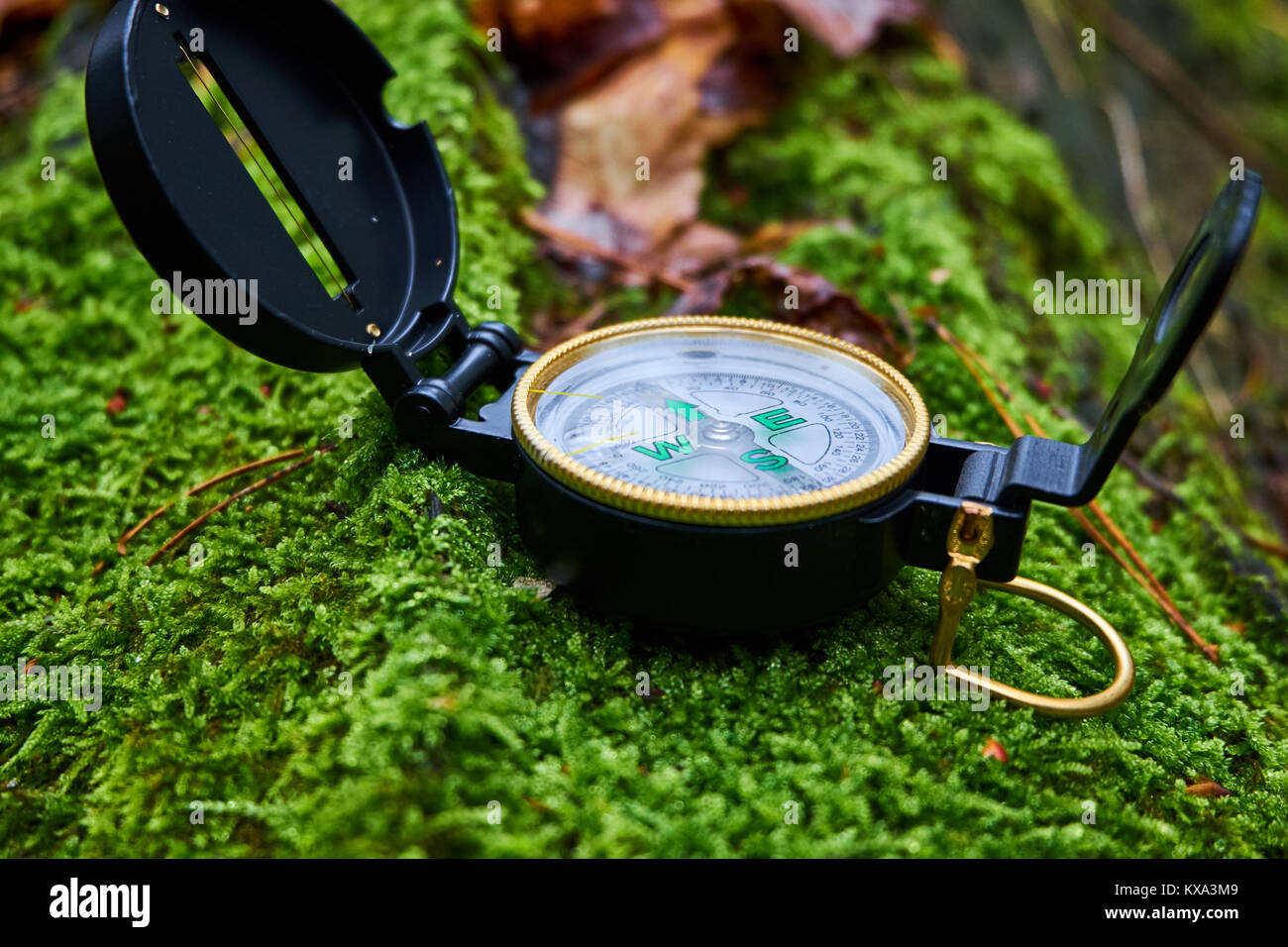 Compass navigation device lying on the moss Stock Photo - Alamy