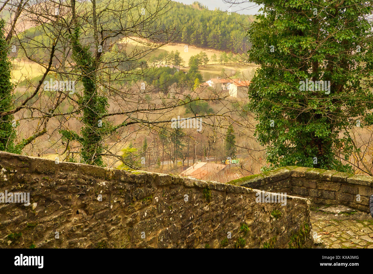 Verna fields hi-res stock photography and images - Alamy