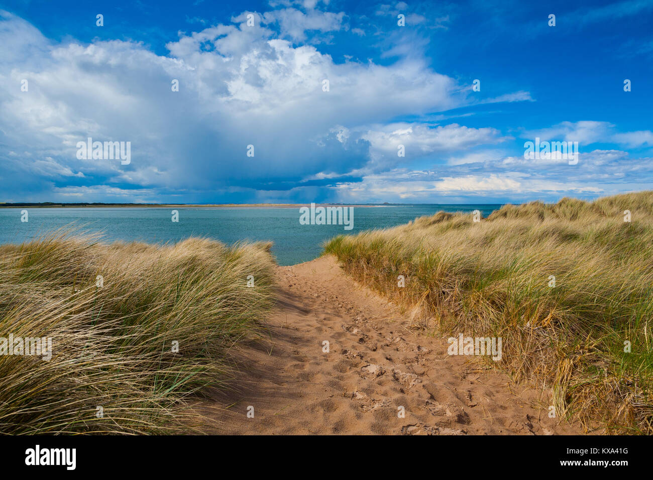 View over Budle Bay, Northumberland, England, UK Stock Photo - Alamy