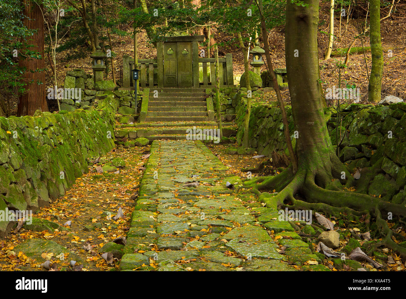 Temple stairs japan hi-res stock photography and images - Alamy