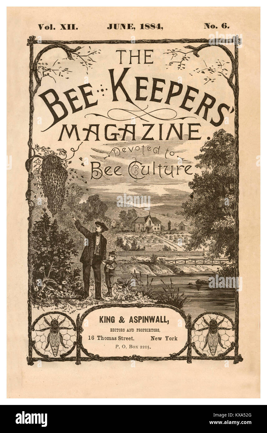 Magazine hive hi-res stock photography and images - Alamy