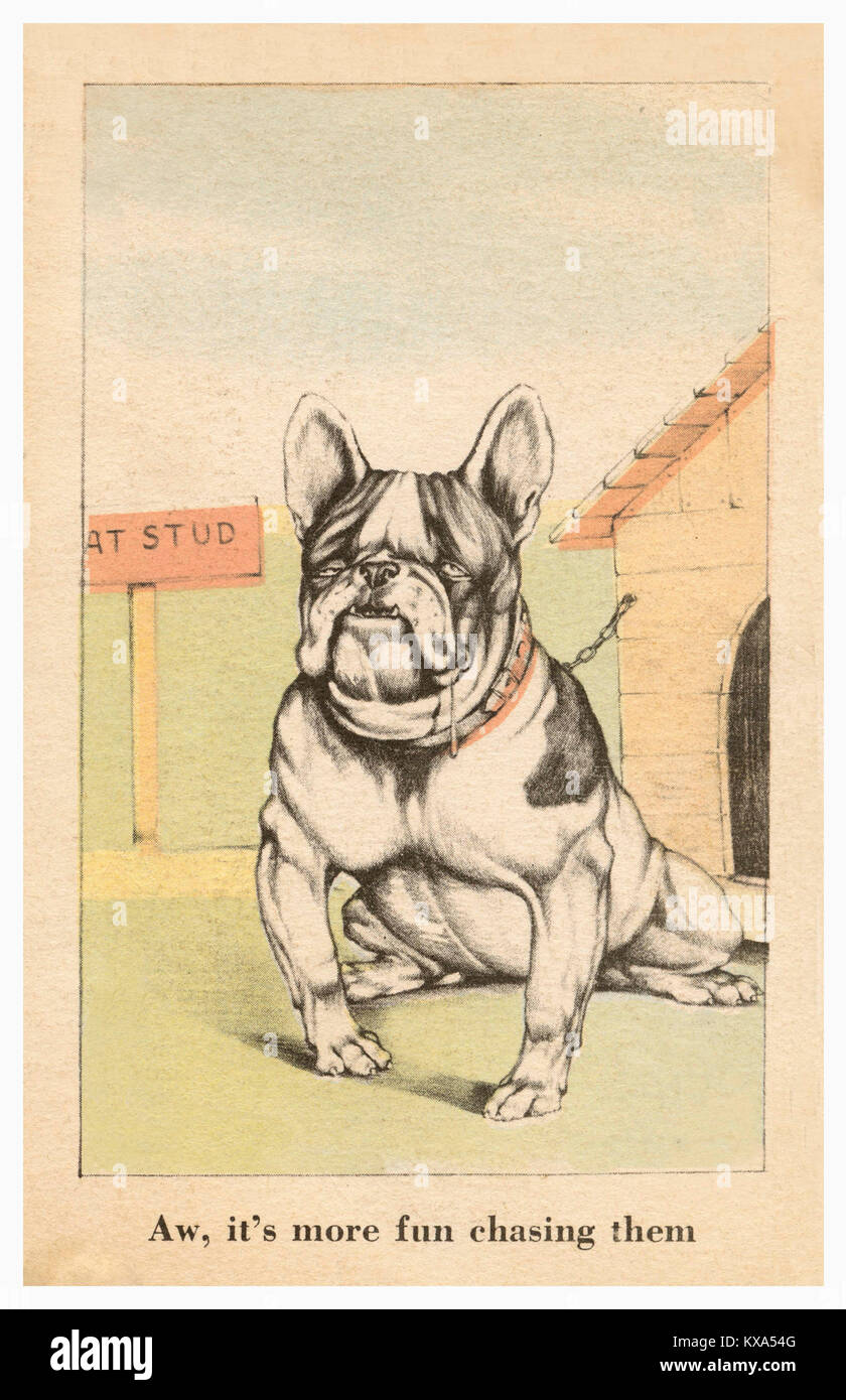 Aw, It's More Fun Chasing Them Stock Photo - Alamy